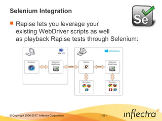 Rapise Overview Presentation | PPT