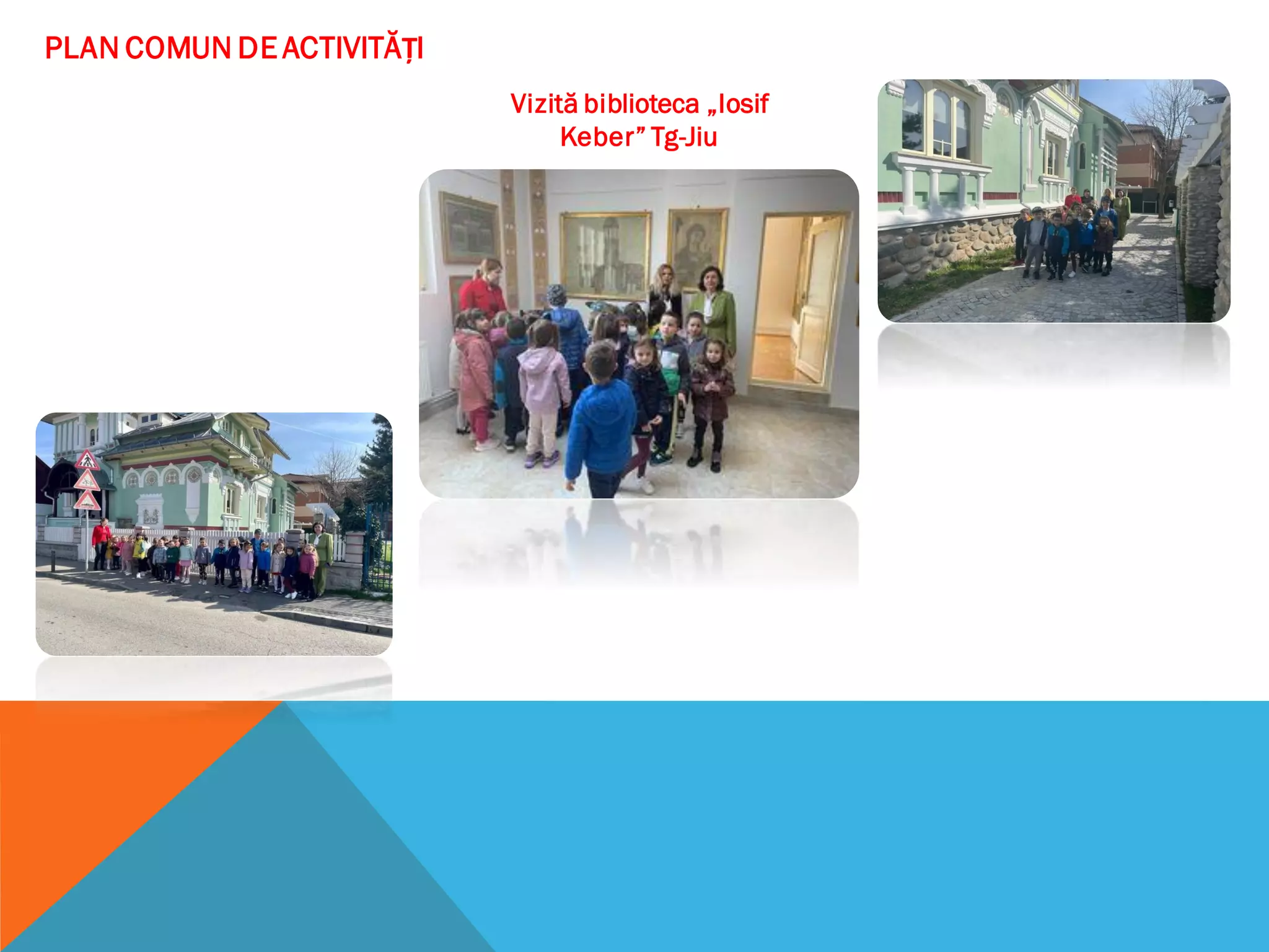 Raport-Parteneriat-Camelia Balanescu.pdf