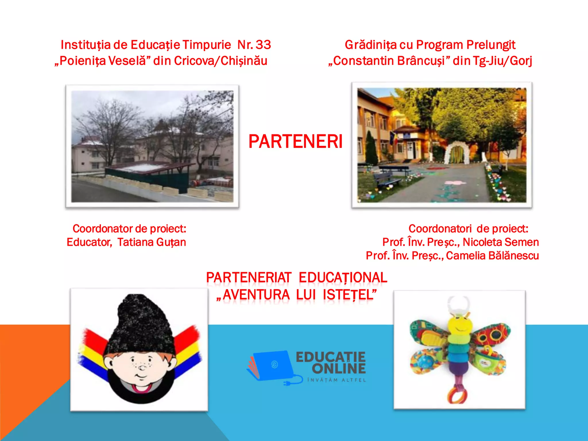 Raport-Parteneriat-Camelia Balanescu.pdf