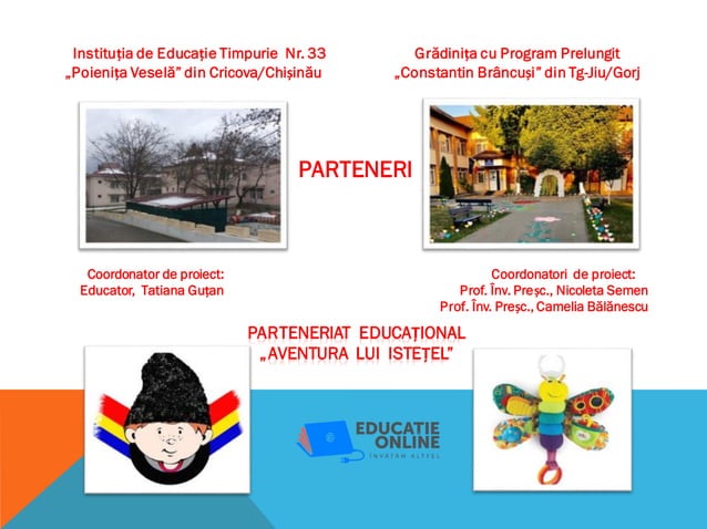 Raport-Parteneriat-Camelia Balanescu.pdf