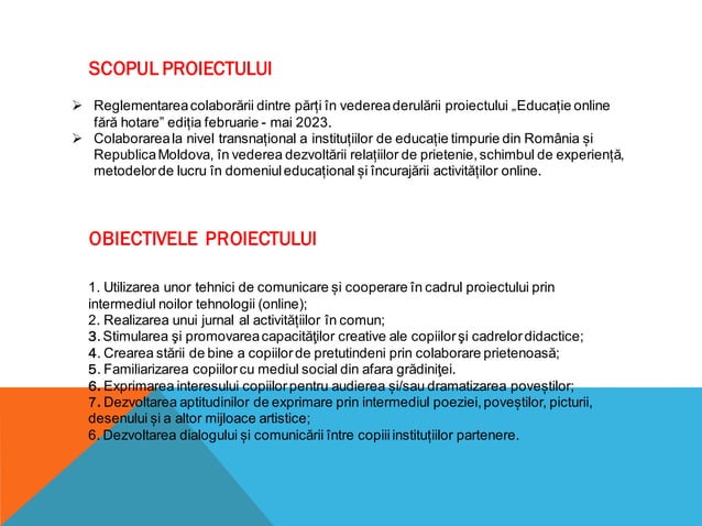 Raport-Parteneriat-Camelia Balanescu.pdf