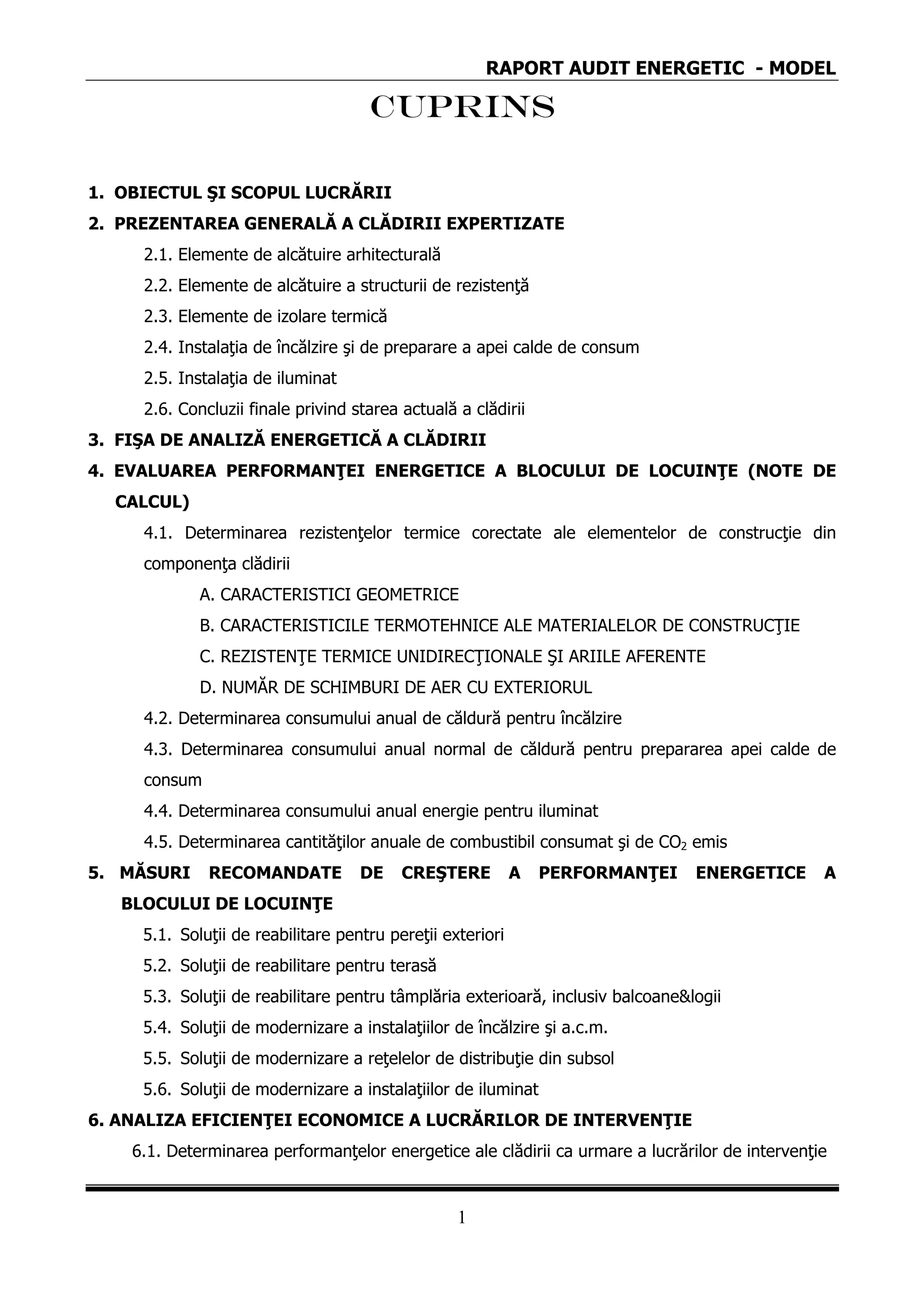 Raport audit model febr2010 | PDF