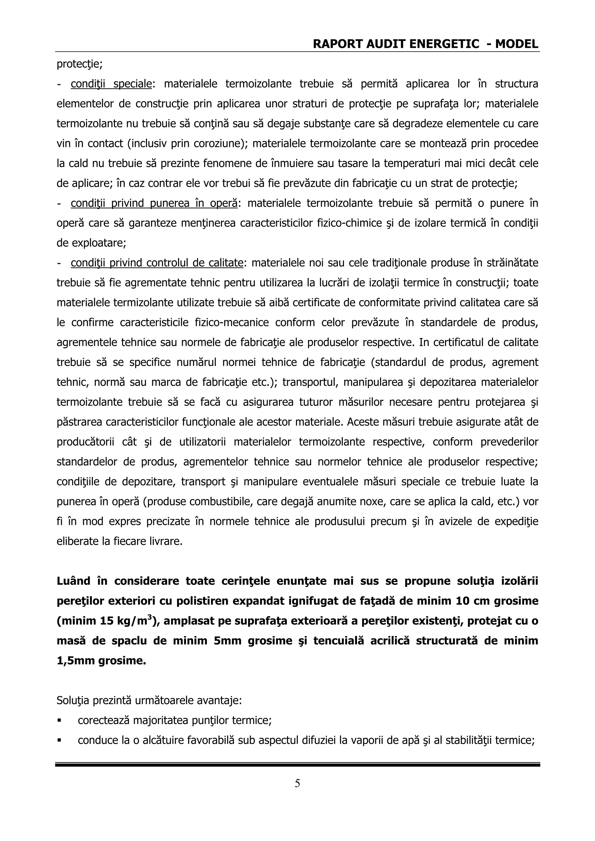 Raport audit model febr2010 | PDF