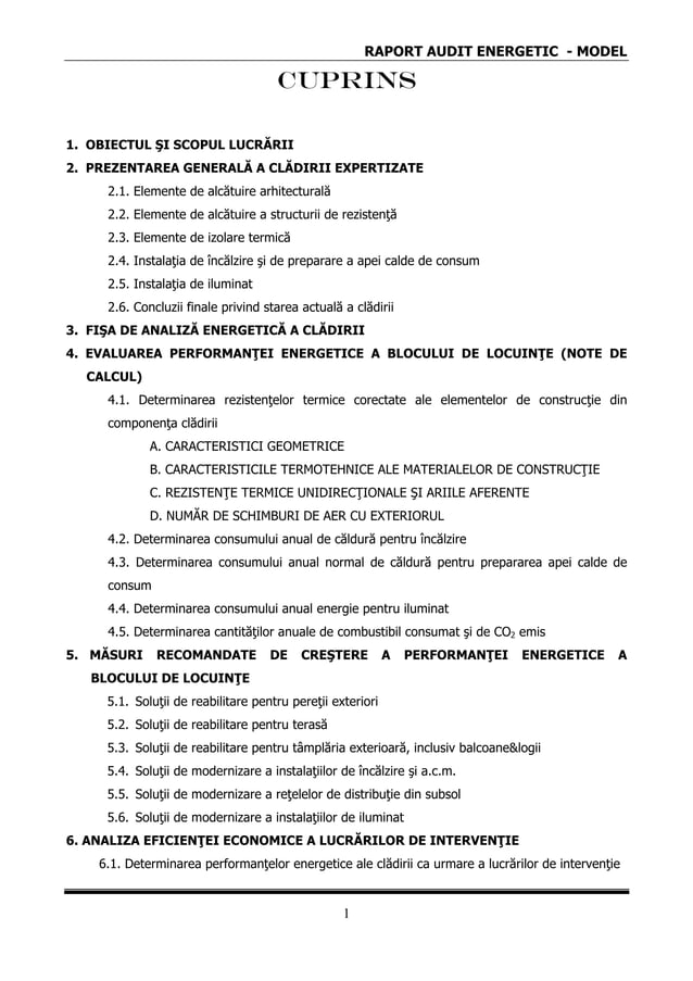 Raport audit model febr2010 | PDF