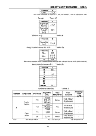 Raport audit model febr2010 | PDF