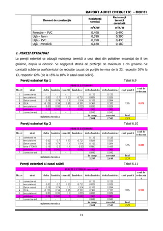 Raport audit model febr2010 | PDF