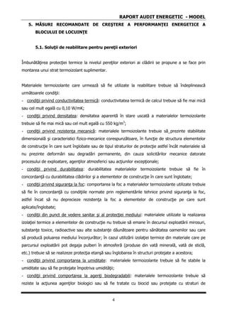 Raport audit model febr2010 | PDF