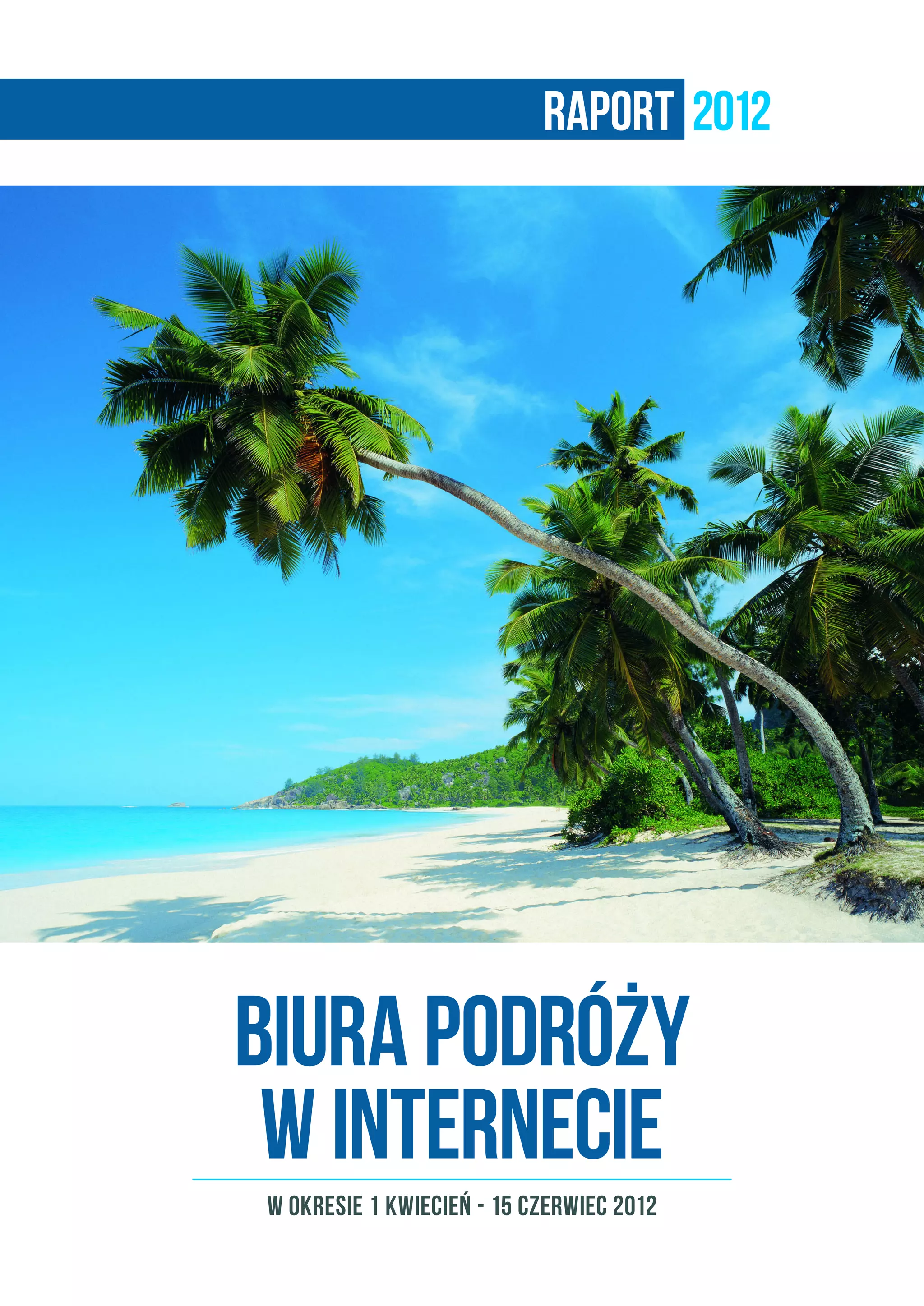 Raport biura podrozy w internecie | PDF