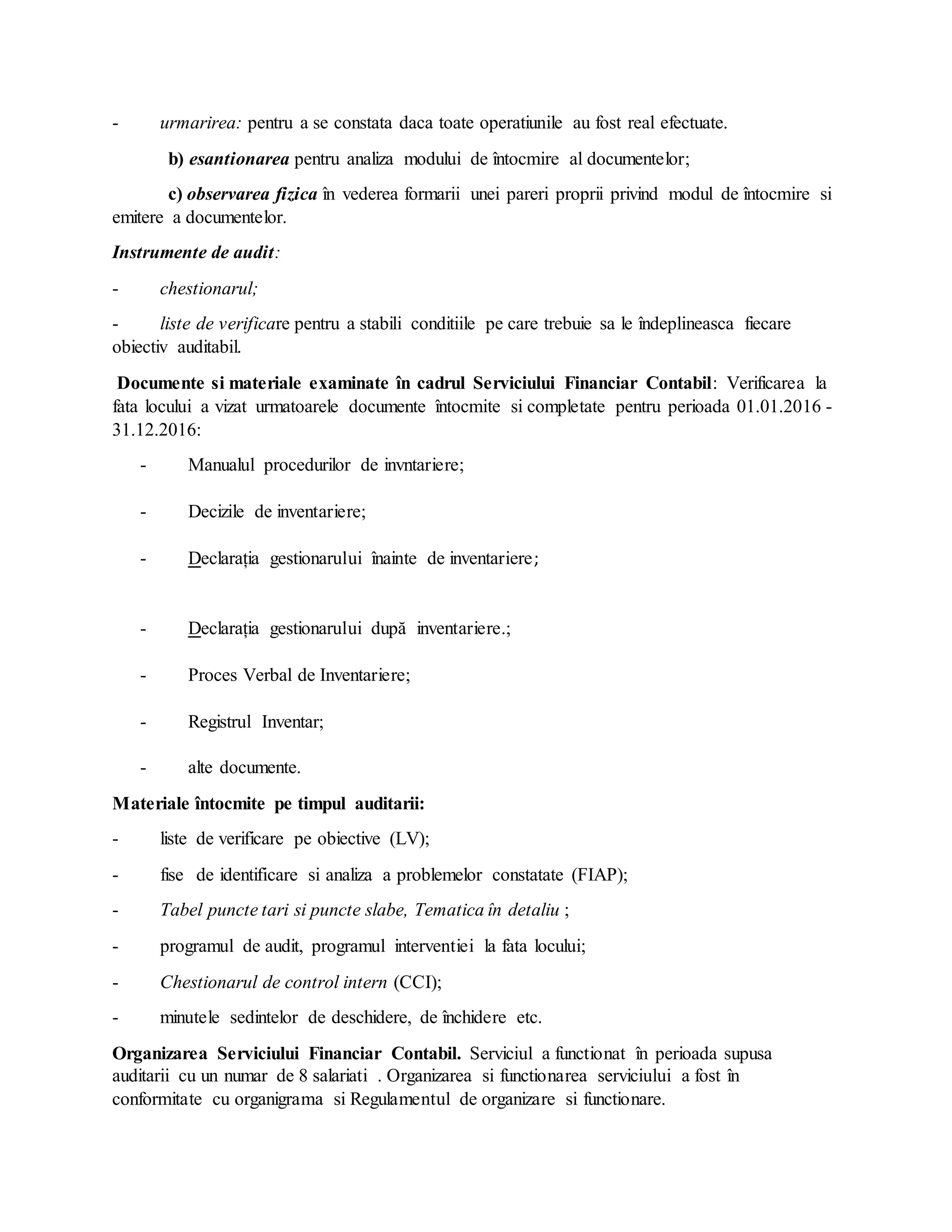 Raport de audit intern | DOCX