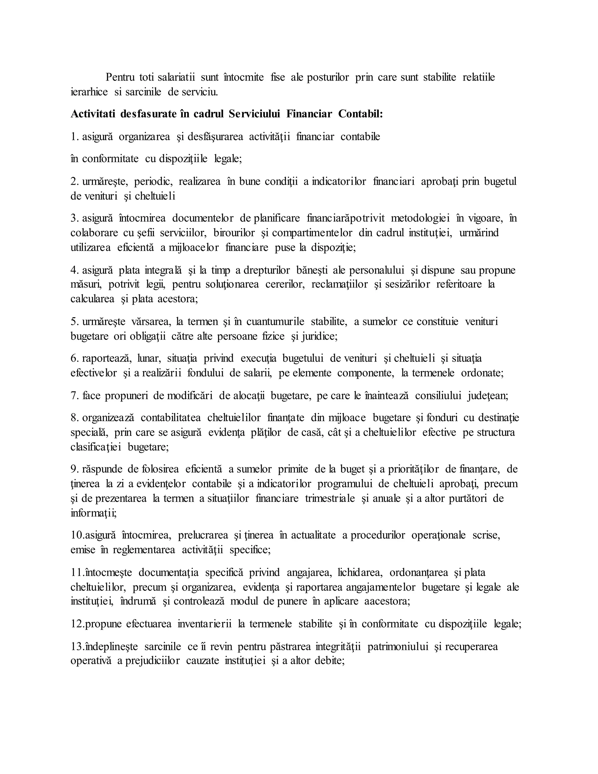 Raport de audit intern | DOCX