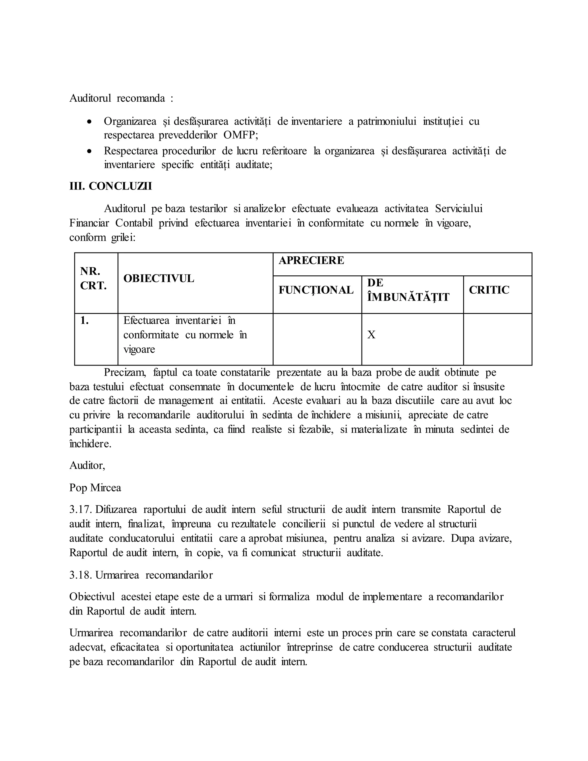 Raport de audit intern | DOCX