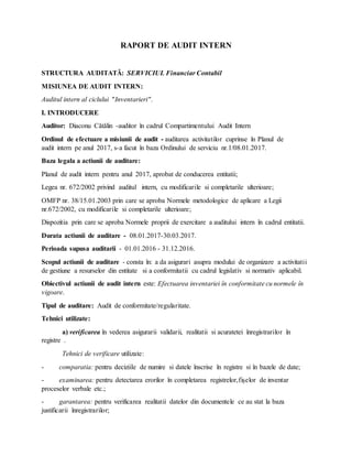 Raport de audit intern | DOCX