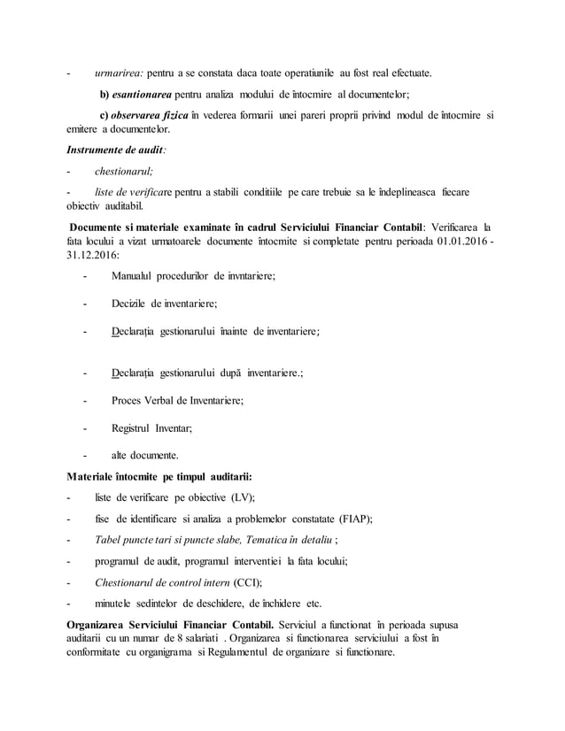 Raport de audit intern | DOCX