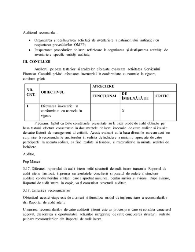 Raport de audit intern | DOCX