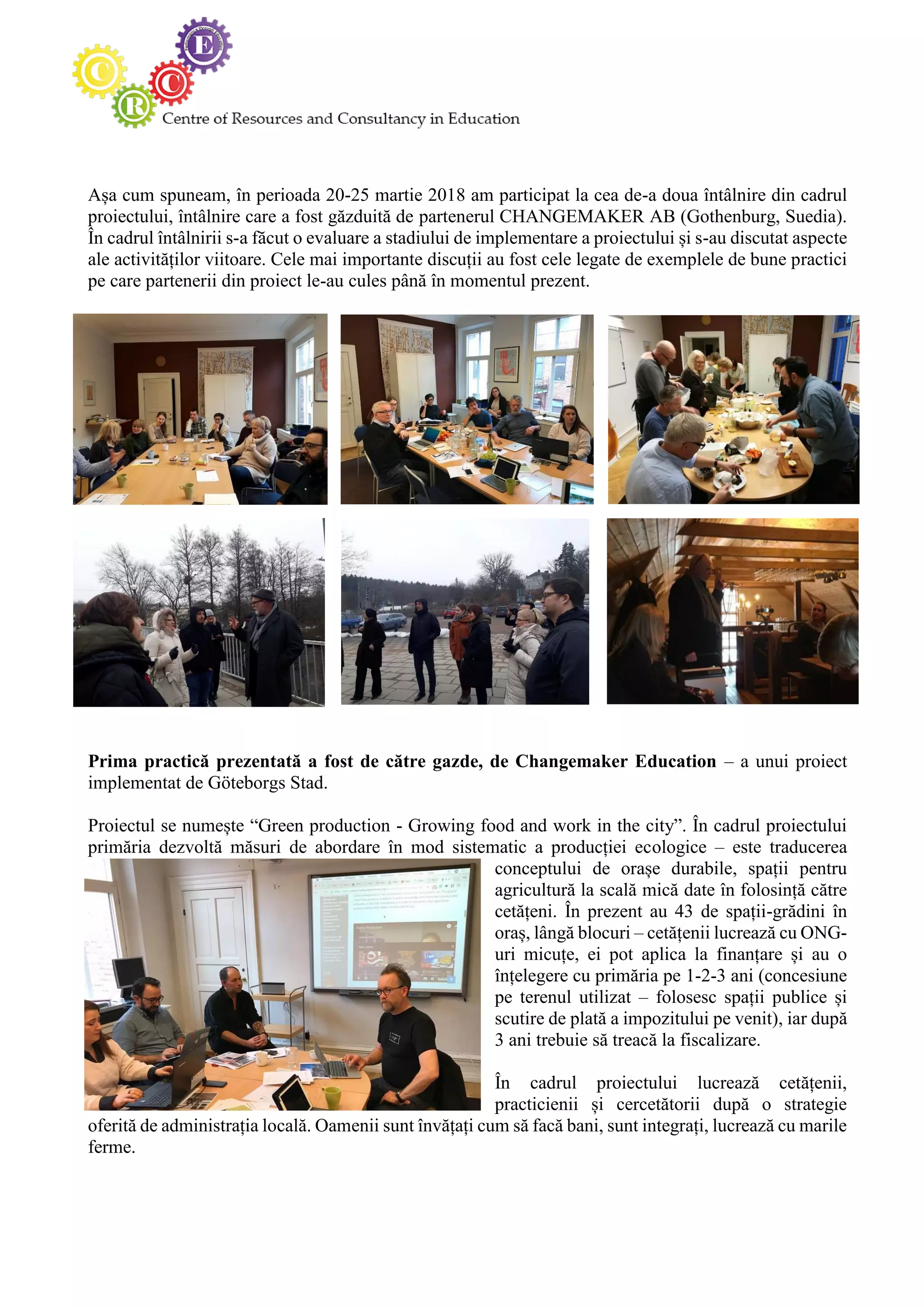 Raport deplasare Suedia | PDF