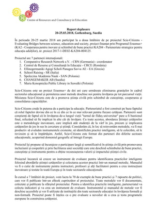 Raport deplasare Suedia | PDF