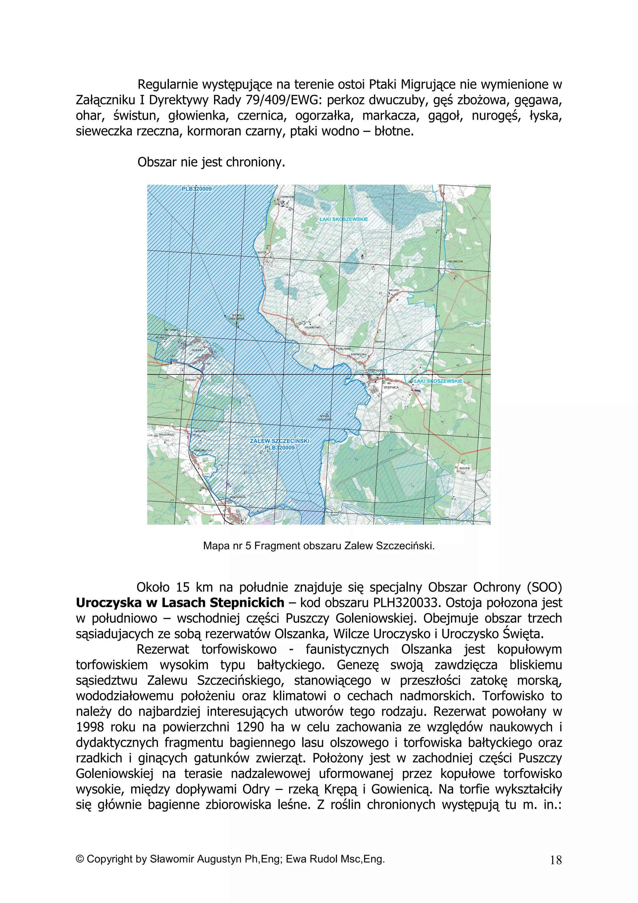 RAPORT O ODDZIAŁYWANIU NA ŚRODOWISKO | PDF