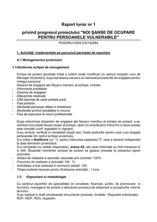 Raport lunar nr 1 | PDF