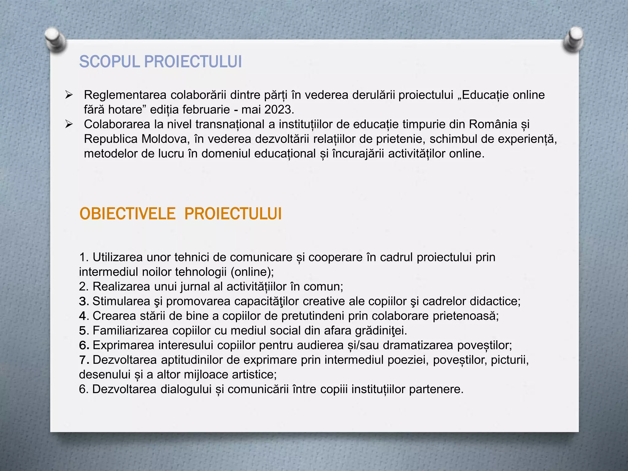 Raport Parteneriat - Semen Nicoleta PDF.pdf