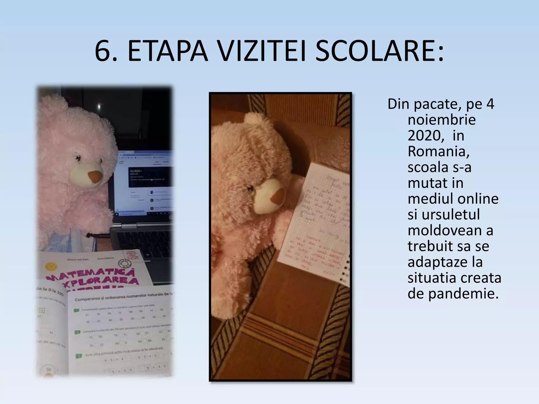 Raport proiect RO-MD final | PPT