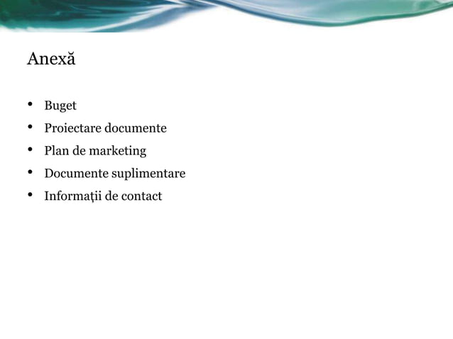 Raport stare proiect - prezentare powerpoint | PPT