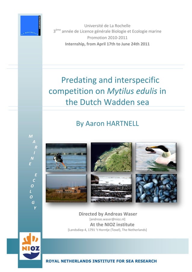 Rapport de stage l3 aaron hartnell | PDF