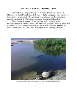 Rapporto zone Mesima - Porto | PDF | Geography | Science