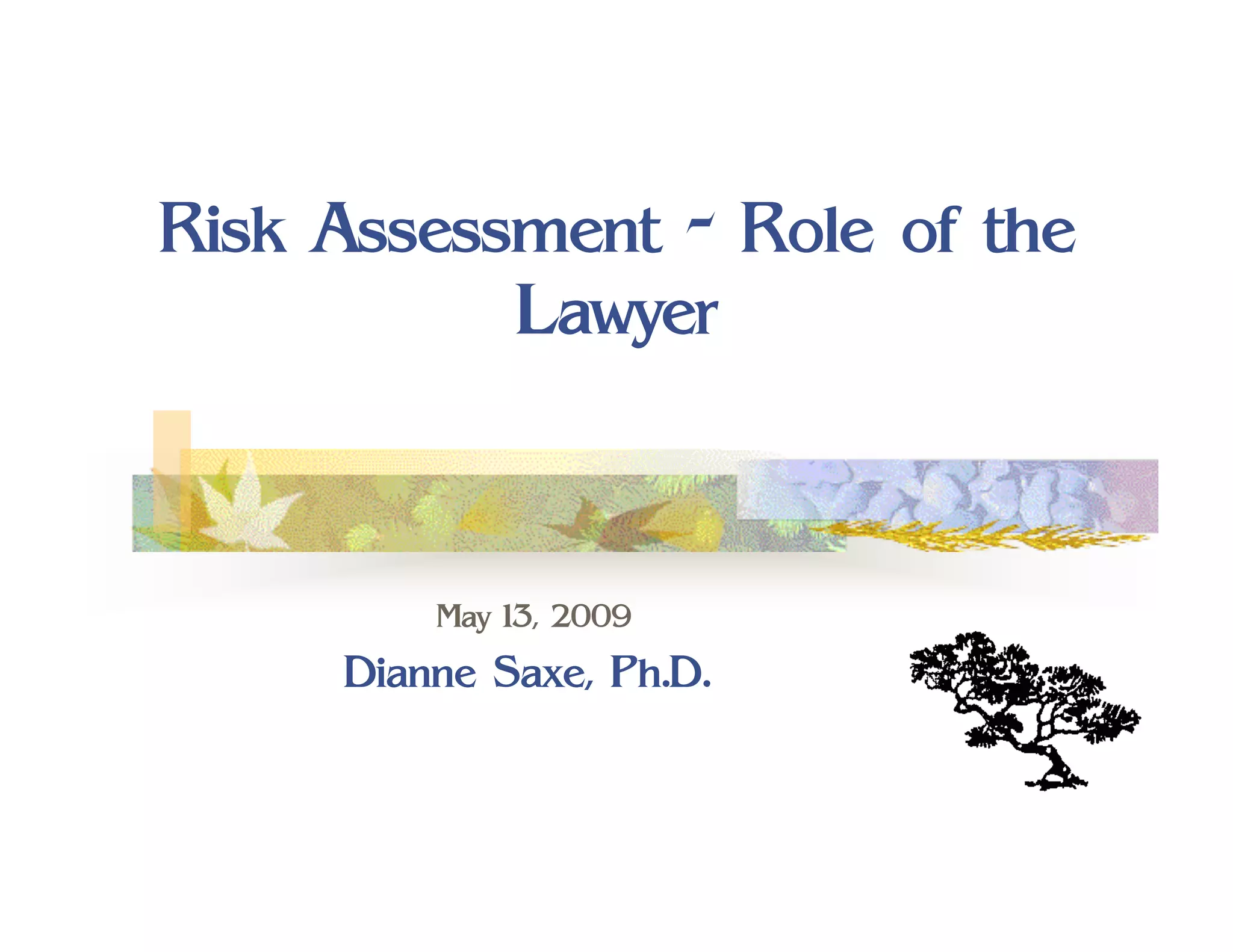 Risk Assessment D Saxe May13 09 | PDF