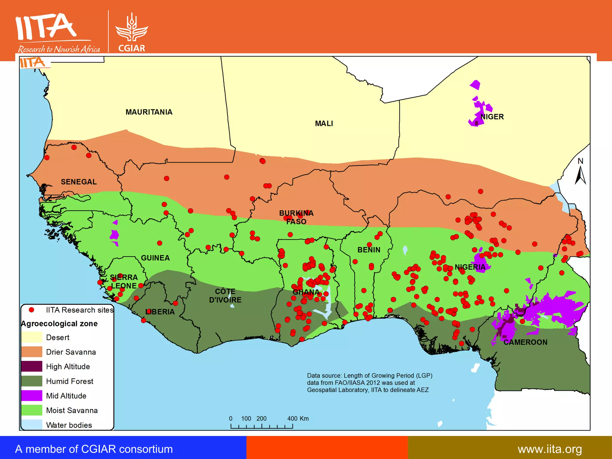 Breeding Staple Crops | PPT