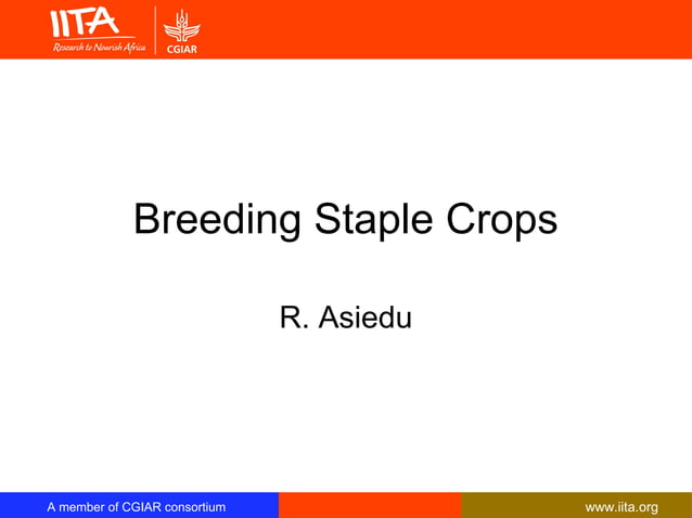 Breeding Staple Crops | PPT | Agriculture | Industries