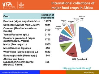 Breeding Staple Crops | PPT