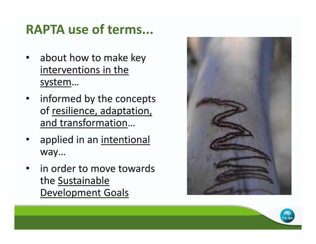 RAPTA - Training-Workshop to Develop Concept Notes of Indigenous ...