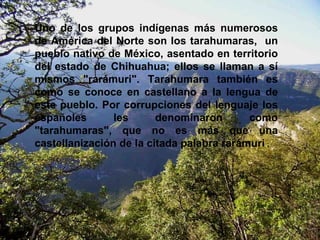 Raramuris | PPT | Geography | Science