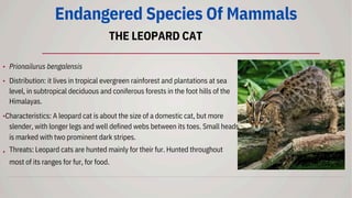 RARE, ENDANGERED AND ENDEMIC BIRDS AND MAMMALS OF INDIAN SUBCONTINENT .pdf