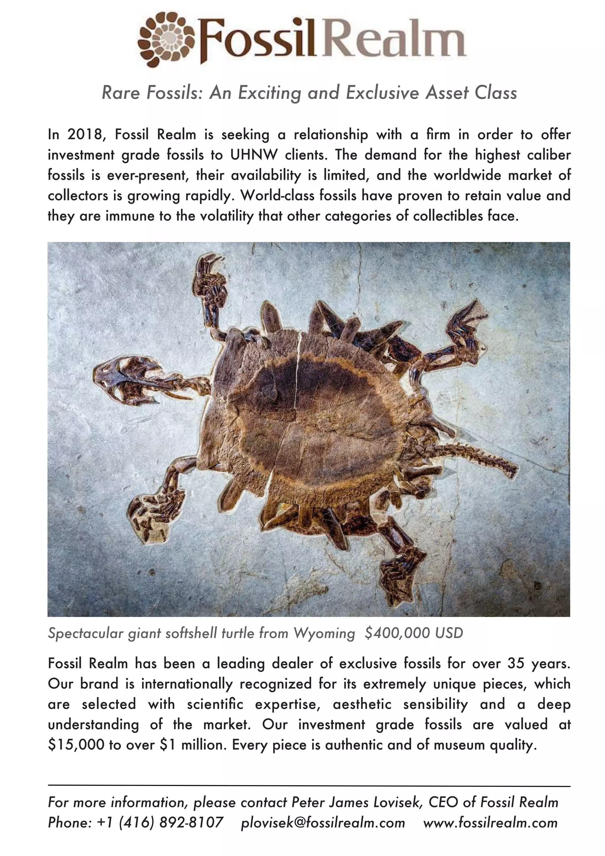 Rare Fossils ~ Investment Grade | PDF | Antiquing and Antiques ...