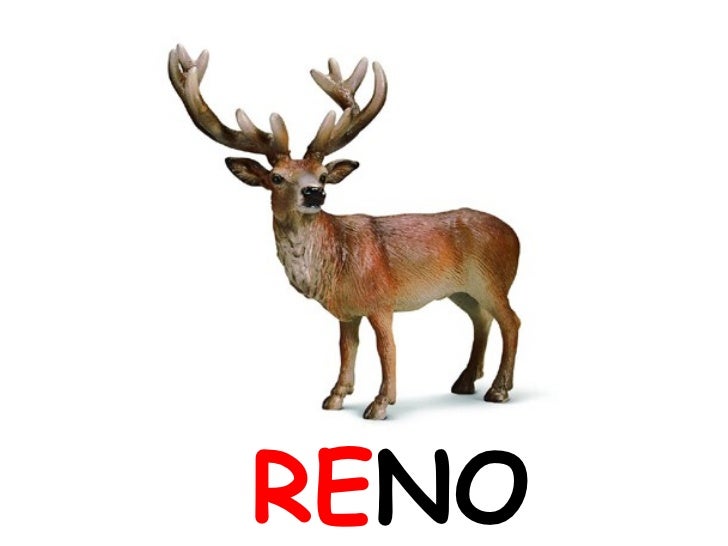 LECTOESCRITURA. LA LETRA R