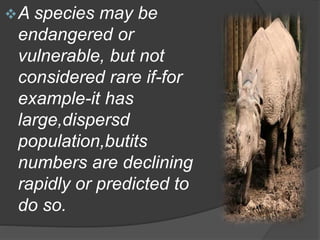 Rare species | PPTX
