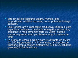 Rase de cai:Rasa lipitan | PPT