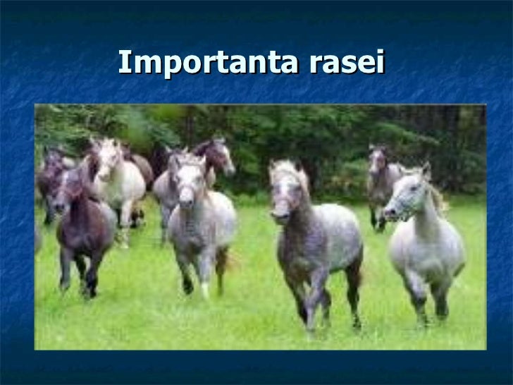 Rase de cai:Rasa lipitan