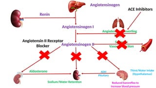 RAS and Drugs acting on Renin angiotensin system.pptx