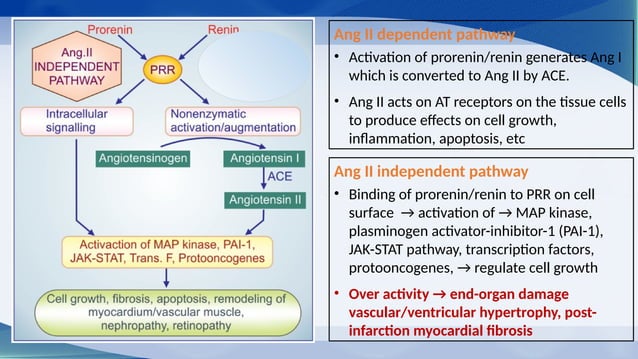 RAS and Drugs acting on Renin angiotensin system.pptx