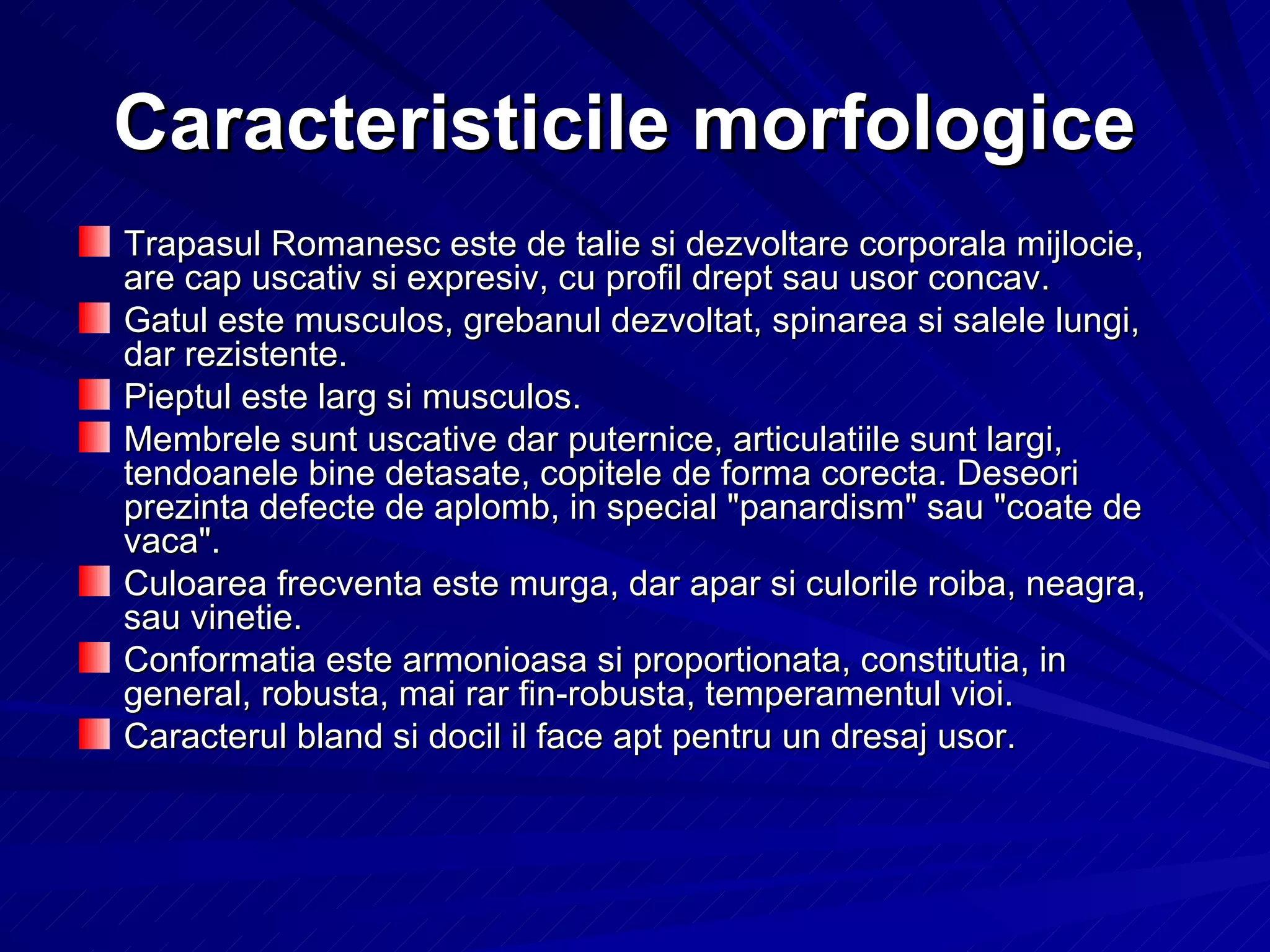 Rase de cai: Rasa trapas romanesc | PPT