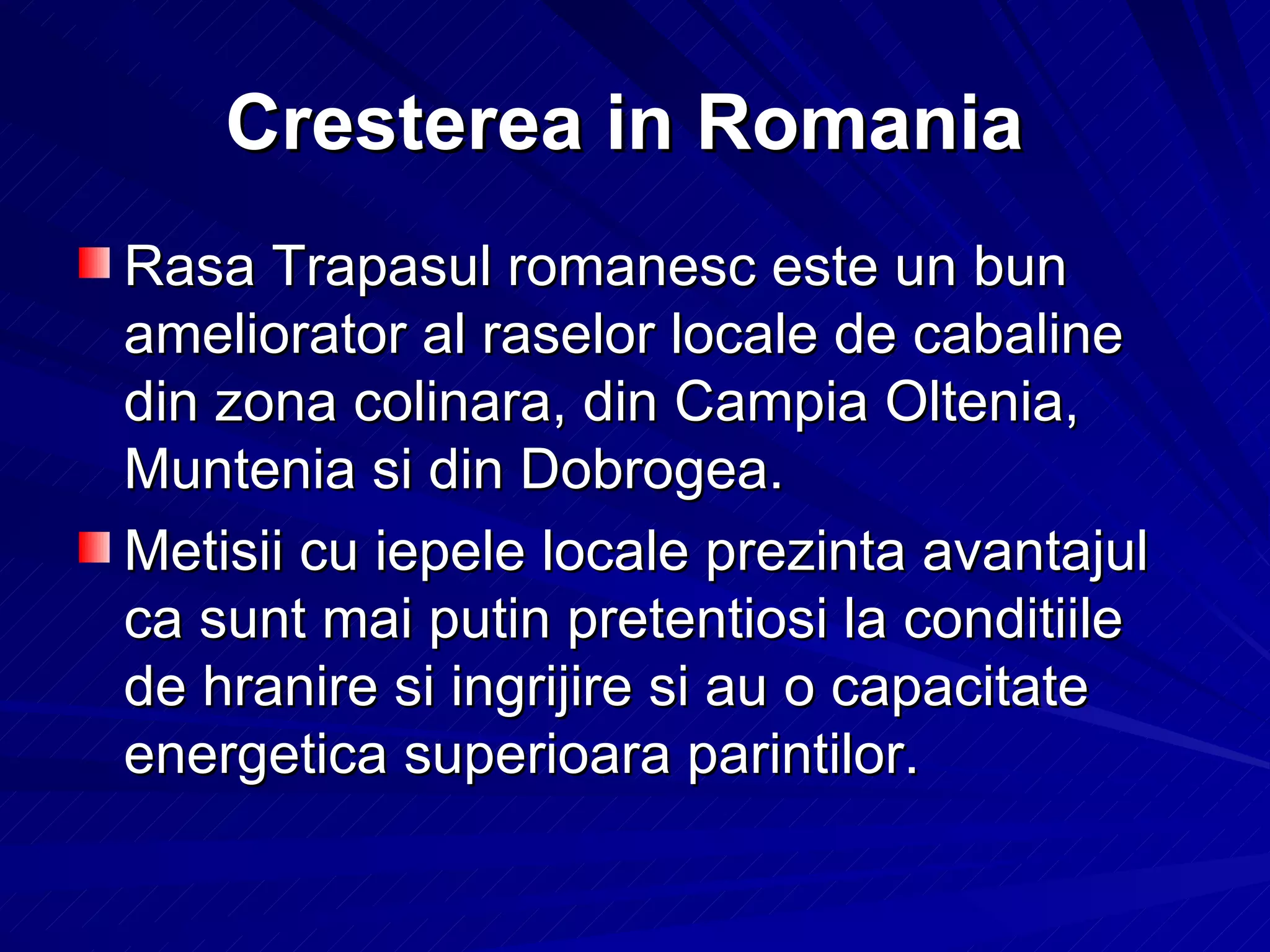 Rase de cai: Rasa trapas romanesc | PPT