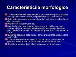 Rase de cai: Rasa trapas romanesc | PPT