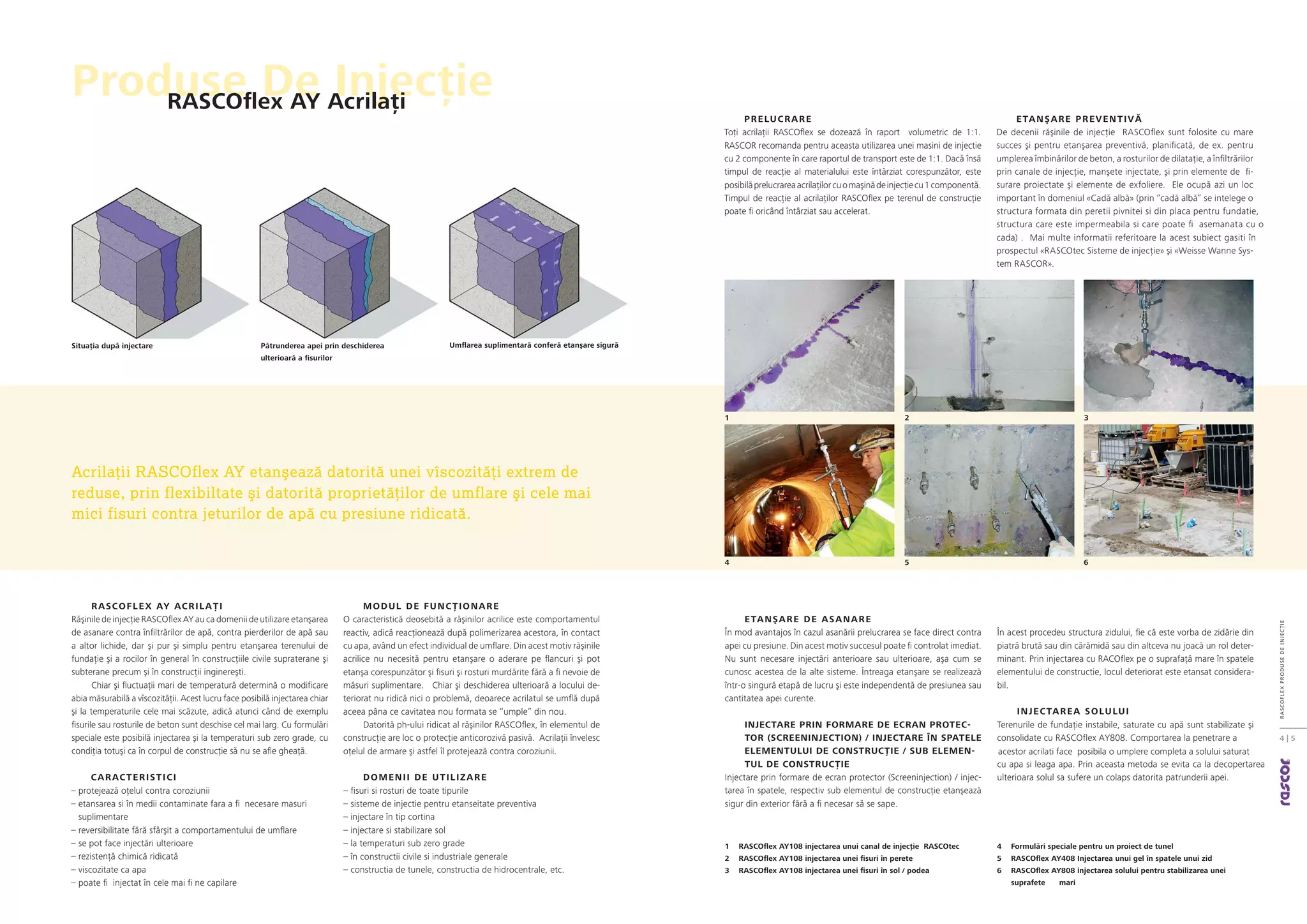 Rascoflex 2011 (ro) | PDF