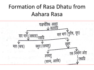 Ras dhatu | PDF