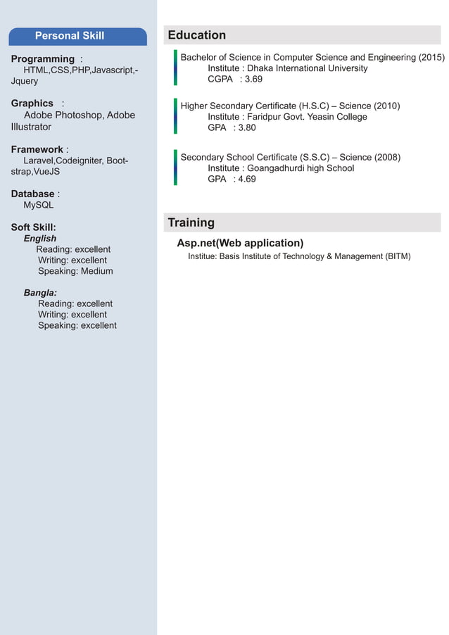 Rasel web developer | PDF | Web Development | Internet