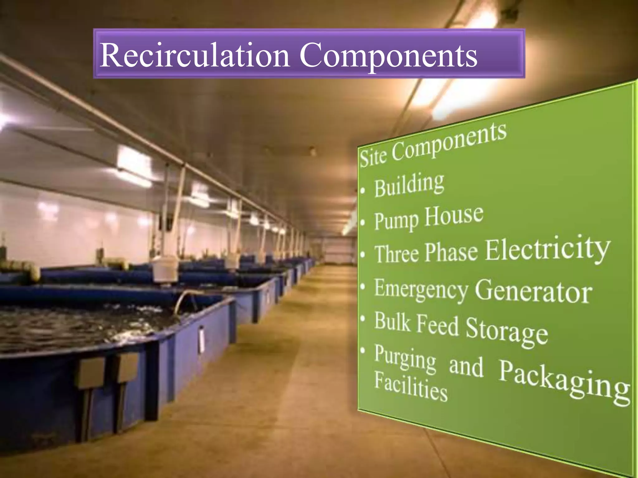 RECIRCULATORY AQUACULTURE SYSTEM | PPTX