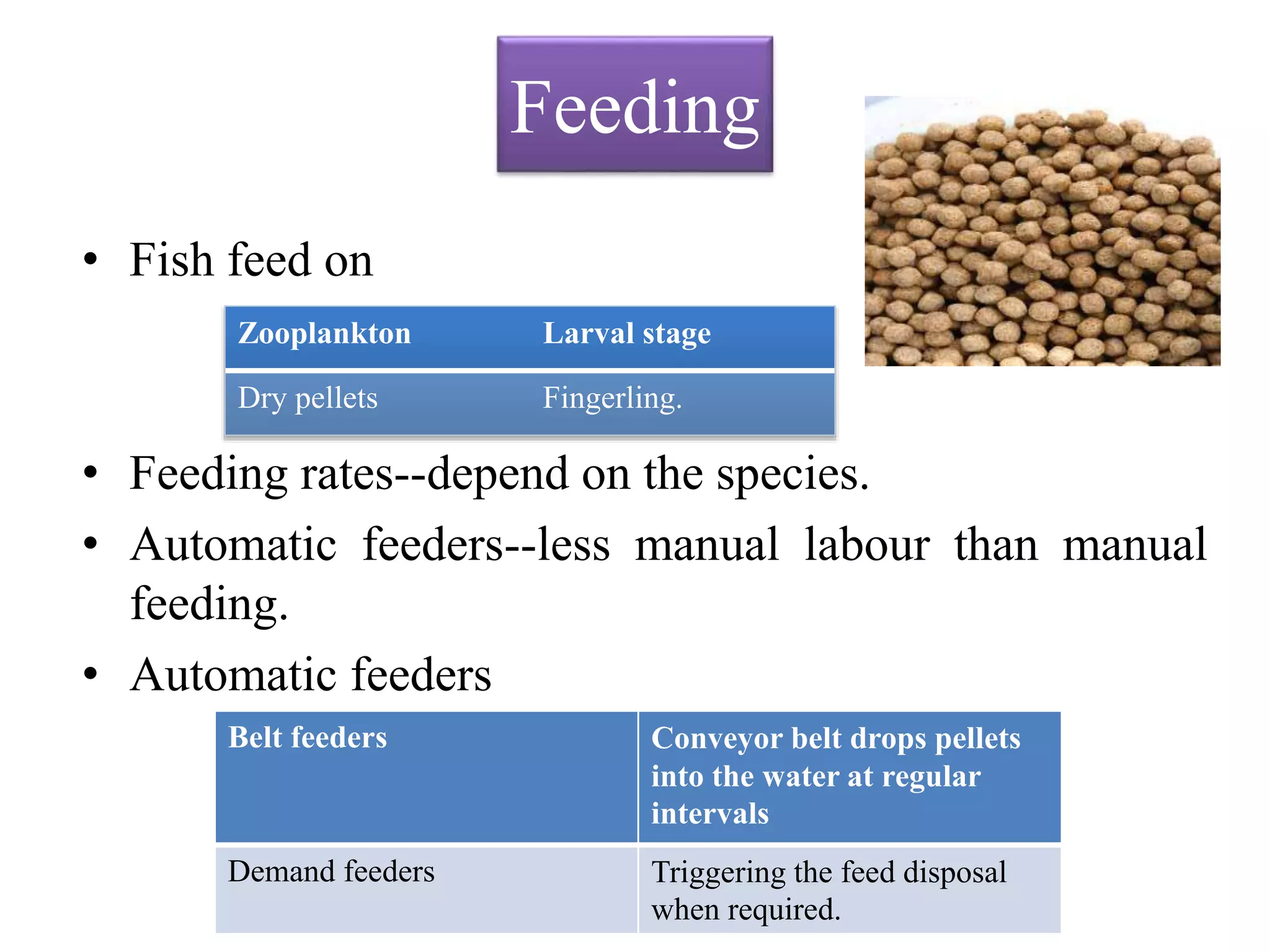 RECIRCULATORY AQUACULTURE SYSTEM | PPTX