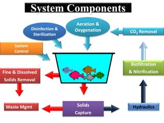 RECIRCULATORY AQUACULTURE SYSTEM | PPTX